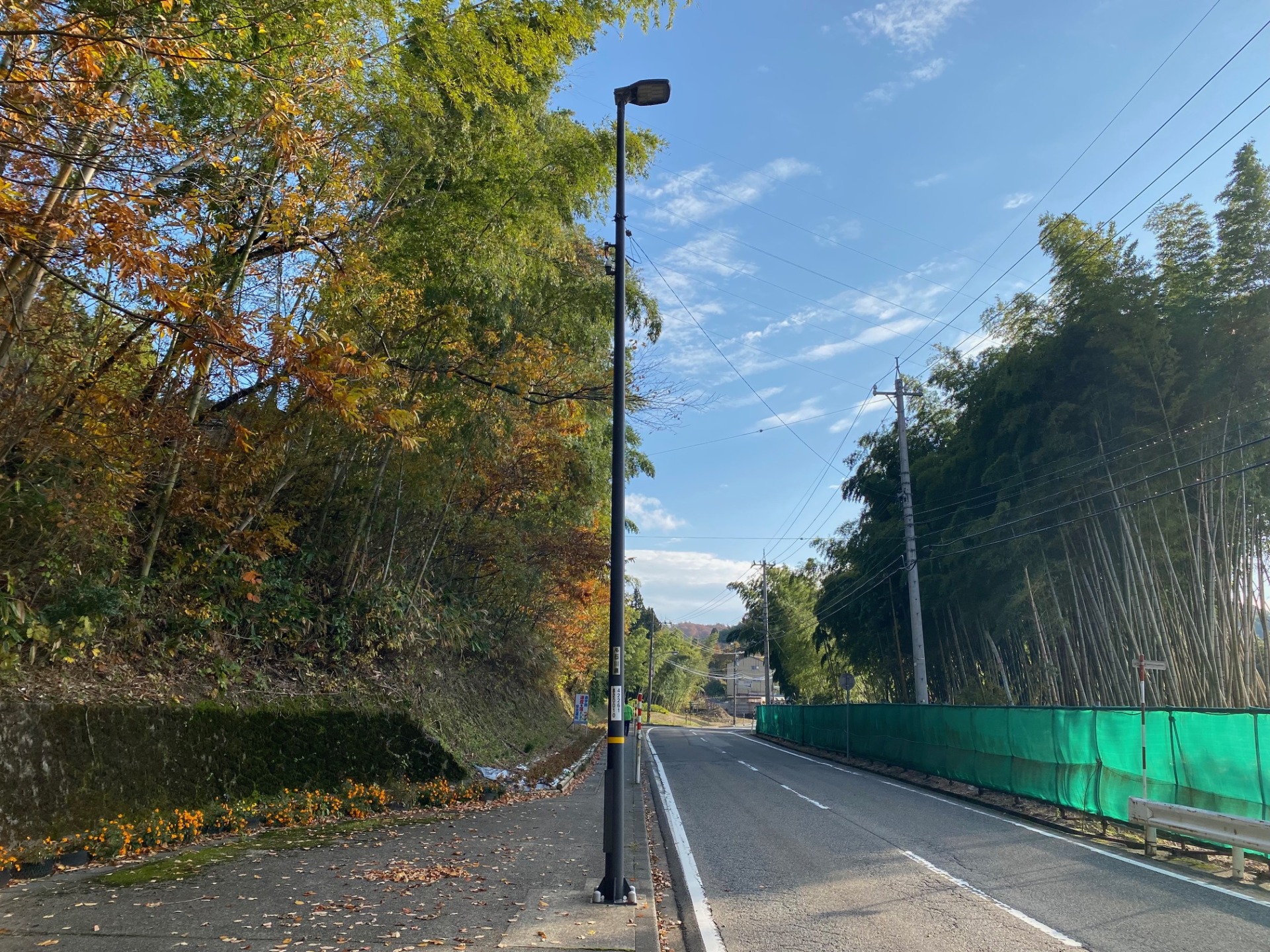 コンパクト高欄照明を試験点灯してみました - 照明設備 - 東亜電機⼯業グループ